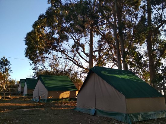 Camping La Isla 《 OPINIONES