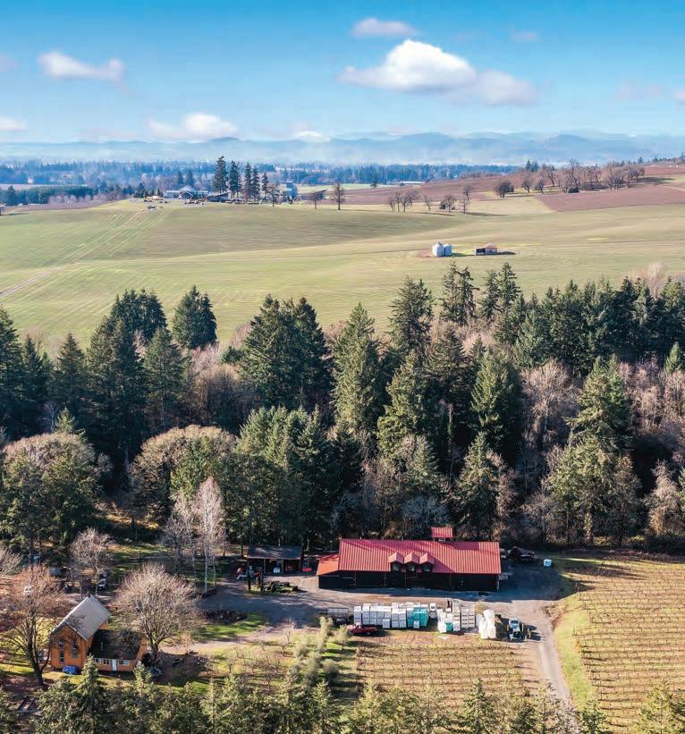 Ranch House Damian 《 OPINIONES