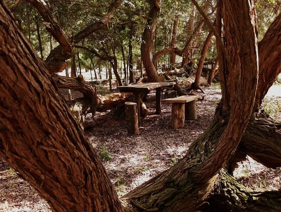 REFUGIO - Natural Glamping 《 OPINIONES